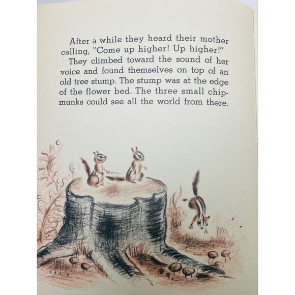 Children’s press | Toys | Scatter The Chipmunk Vintage Childrens Book ...
